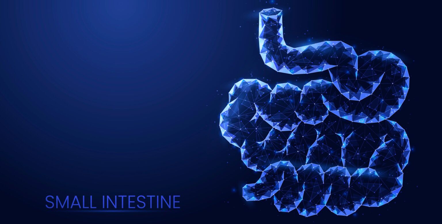 SMALL INTESTINE CANCER & SSD - Cannon Disability Law